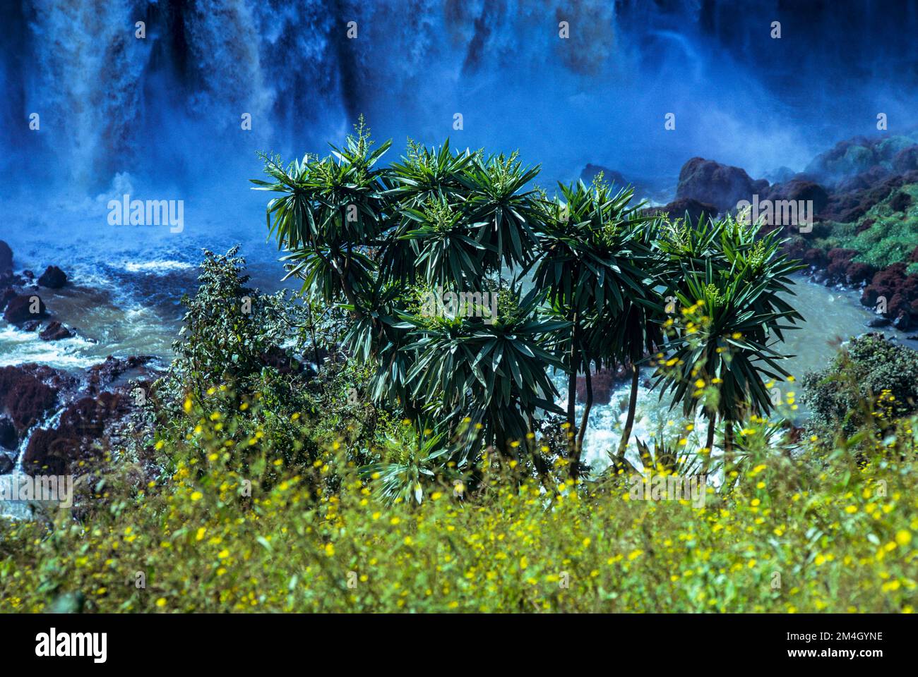 Tiss abay river waterfalls hi-res stock photography and images - Alamy
