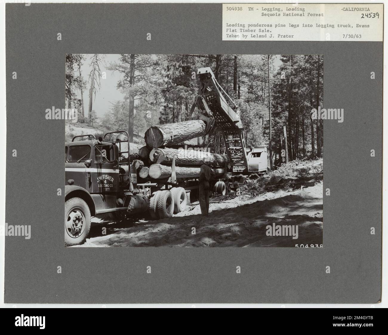 Logging: Loading Logs - California. Photographs Relating to National ...