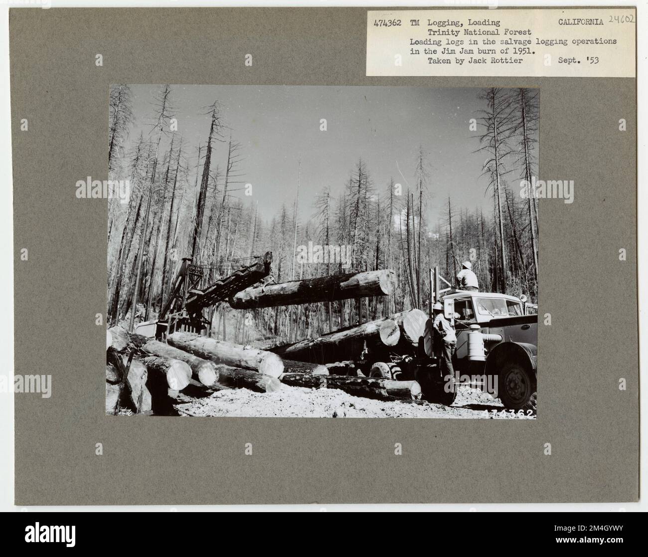 Logging: Loading Logs - California. Photographs Relating to National ...