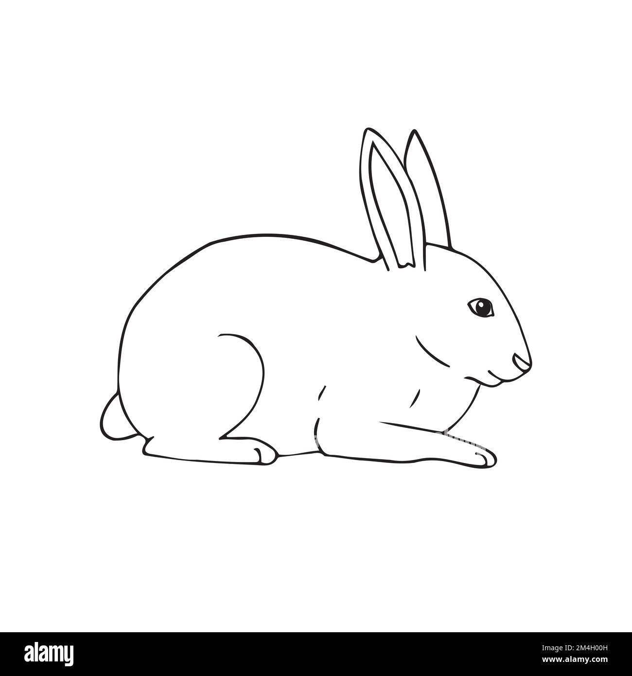 Vector Hand Drawn Doodle Sketch Bunny Rabbit Isolated On White