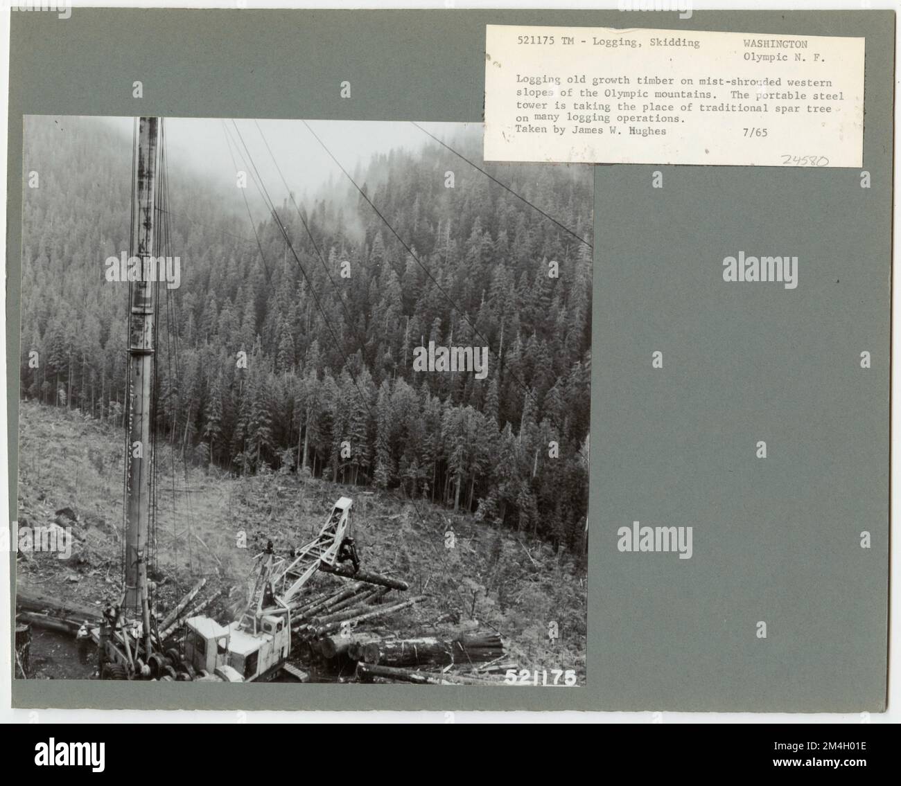 Logging: High Lead Log Skidding - Washington. Photographs Relating to ...