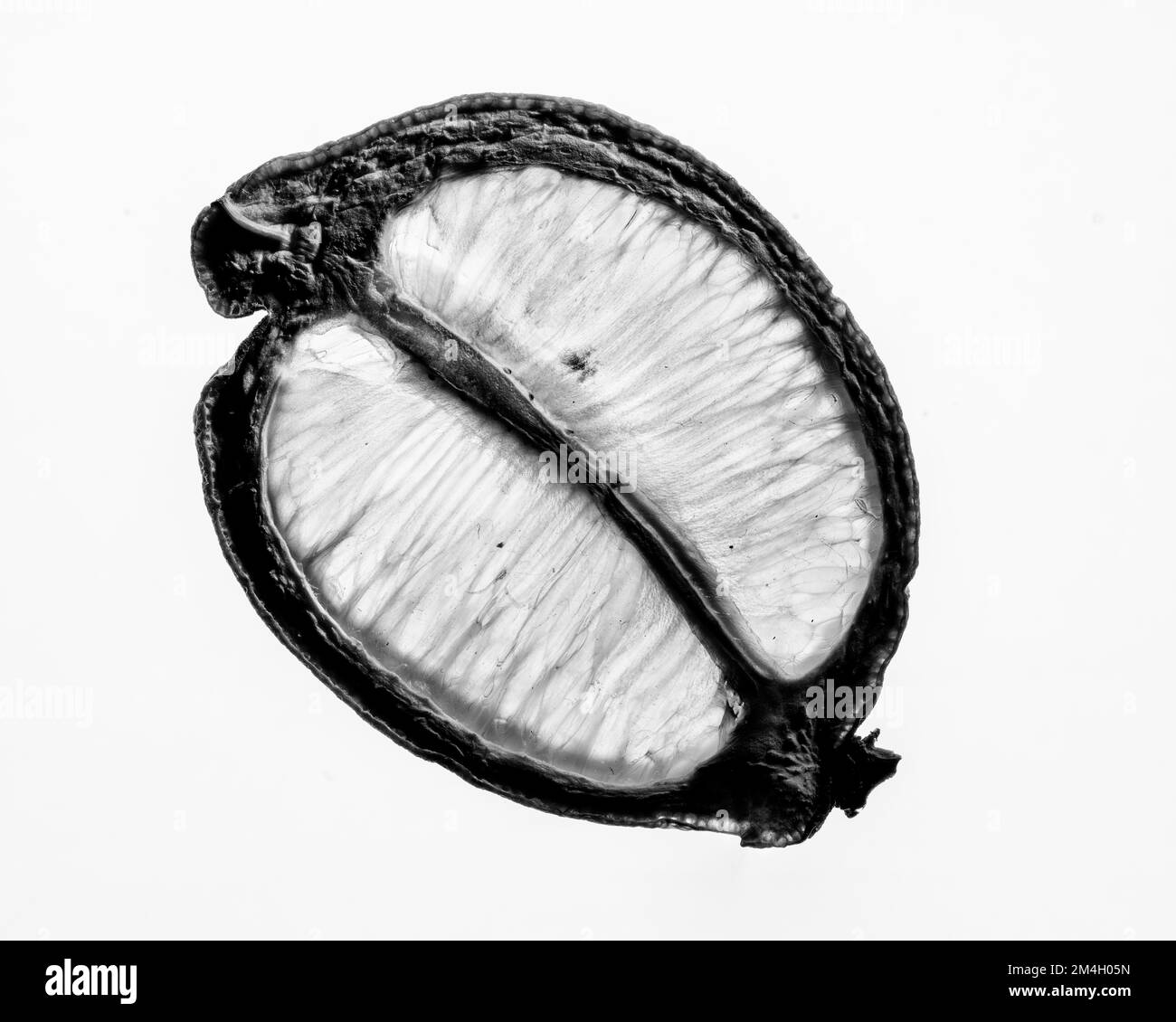 Fruits kitchen Black and White Stock Photos & Images - Alamy