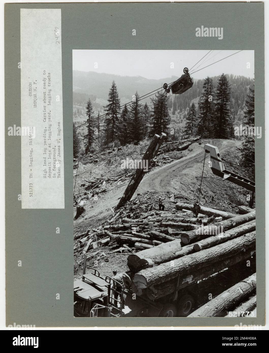 Oregon Logging History