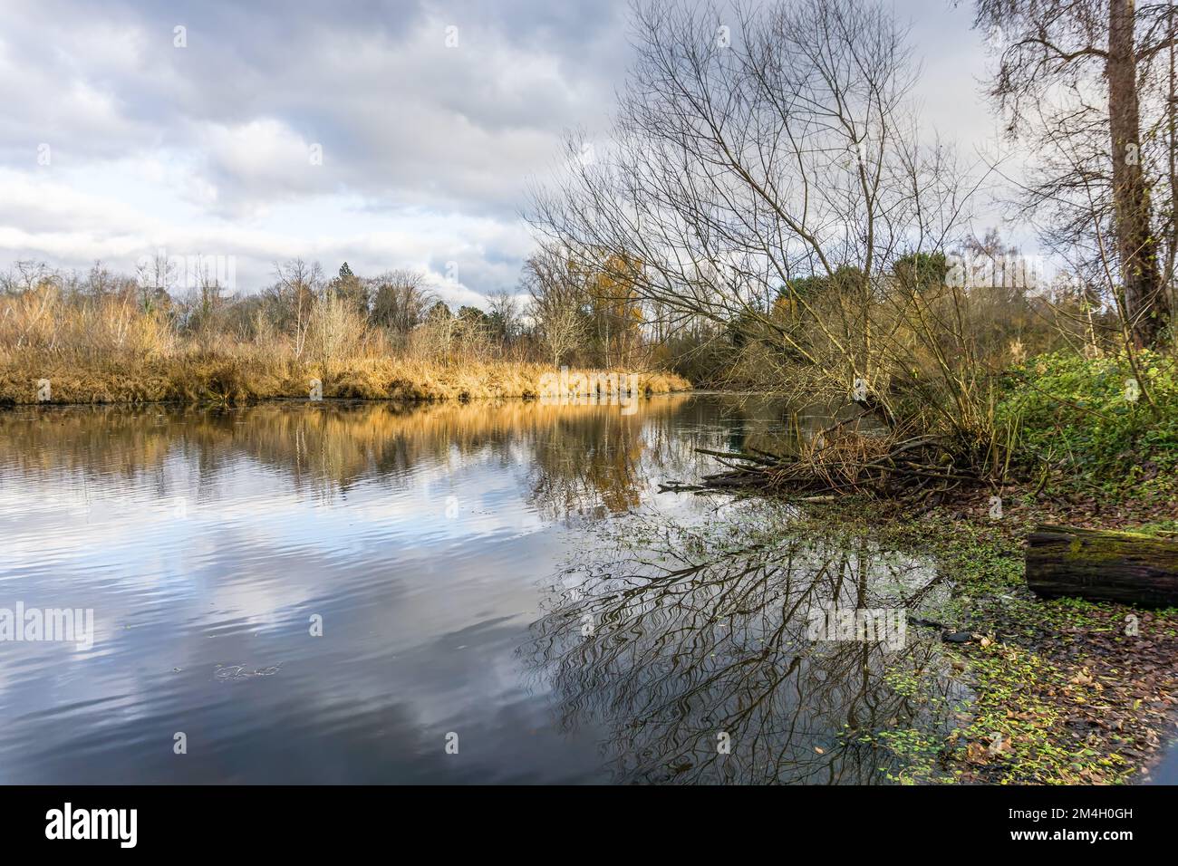 Water inlet at the Washington Park Arboretum in Seattle, Washington ...