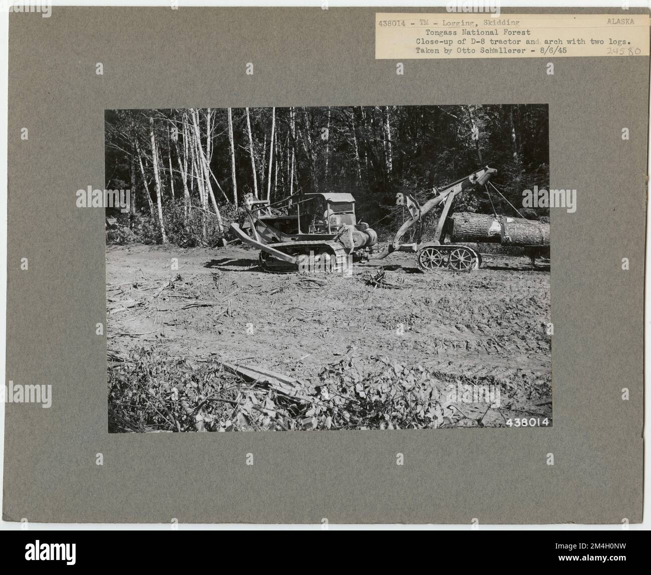 Logging: Skidding with Tractors - Alaska. Photographs Relating to ...