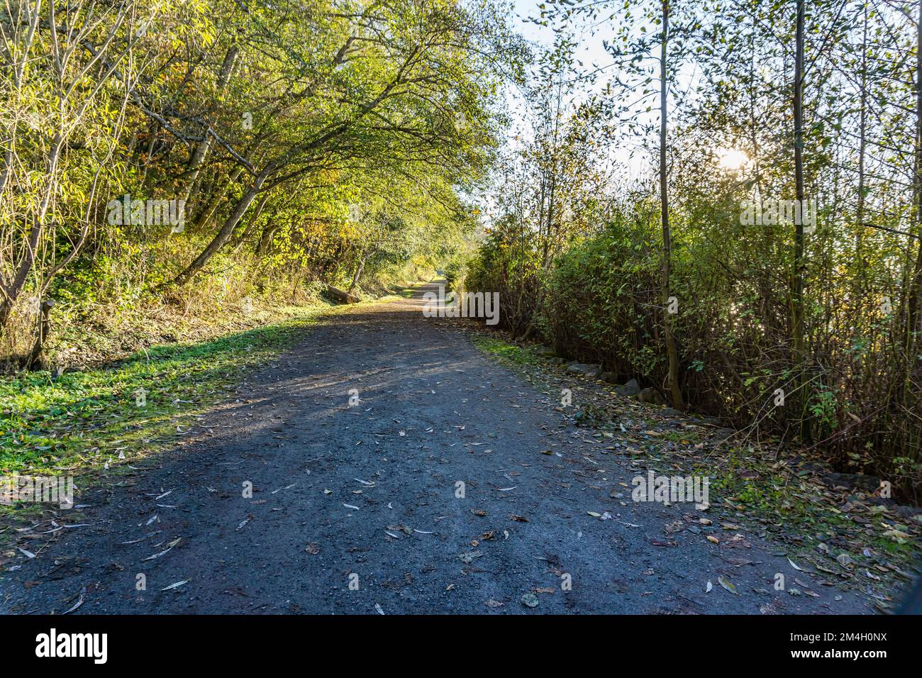 Trees line the shore at Seahurst Park in Burien, Washington Stock Photo ...