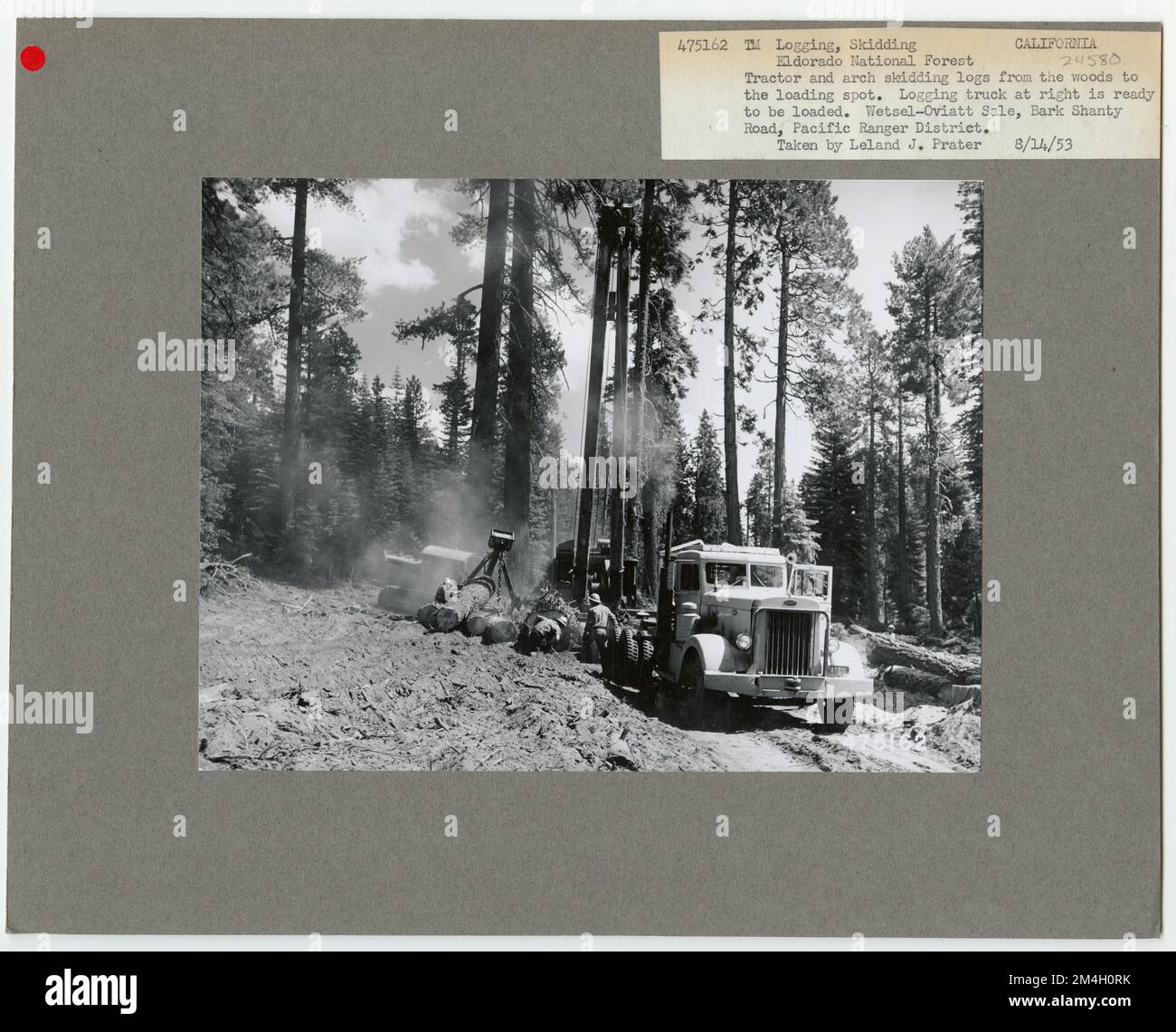 Logging: Skidding with Tractors - California. Photographs Relating to ...