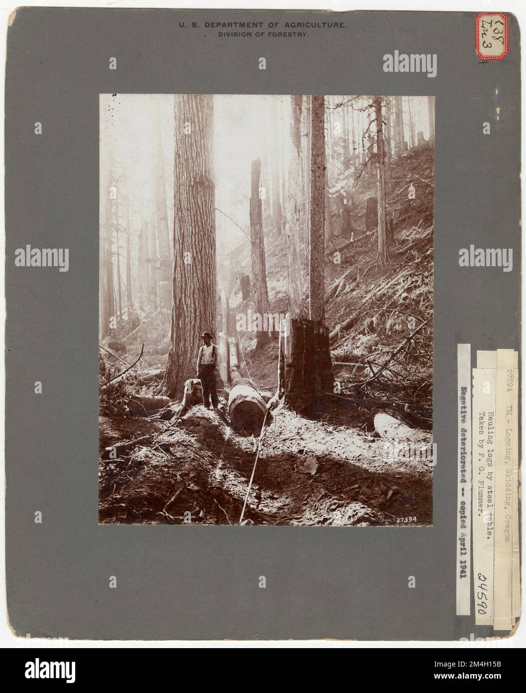 Logging: Skidding with Animals - Oregon. Photographs Relating to ...