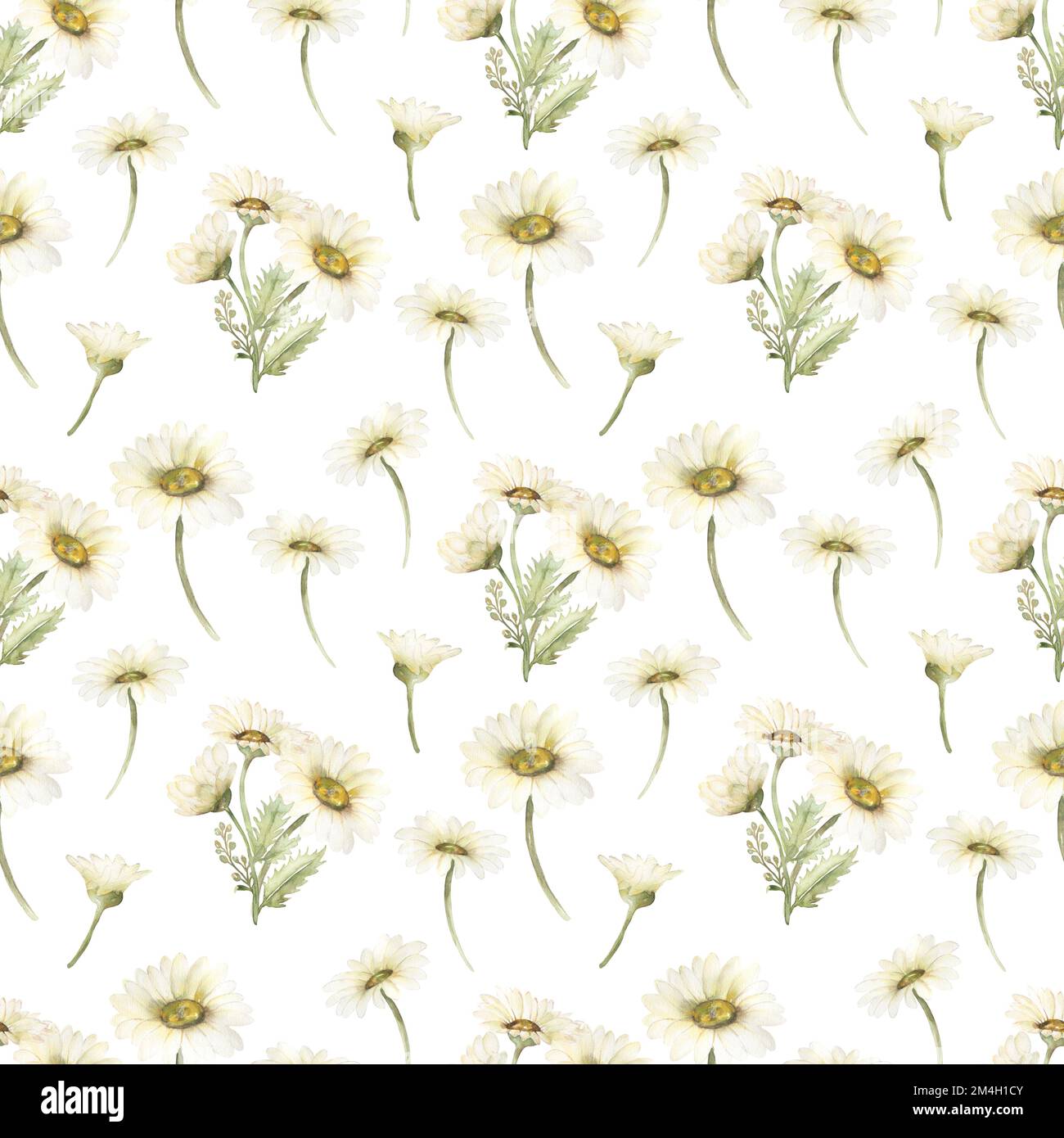 Watercolor seamless pattern with daisy flowers and leaves branches ...