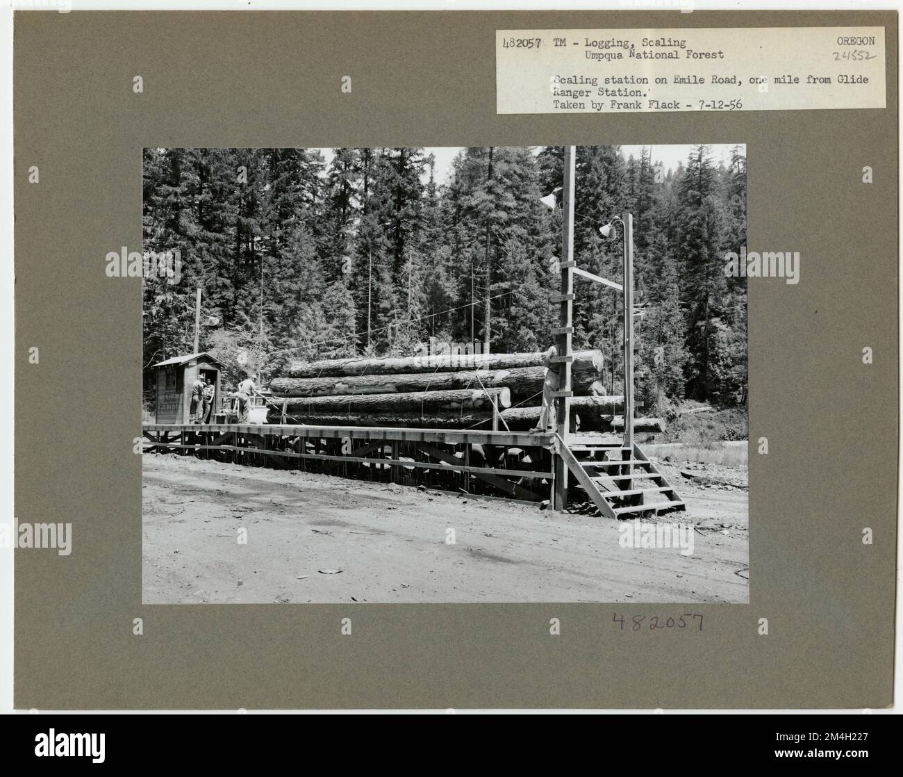 Logging: Scaling - Oregon. Photographs Relating to National Forests ...