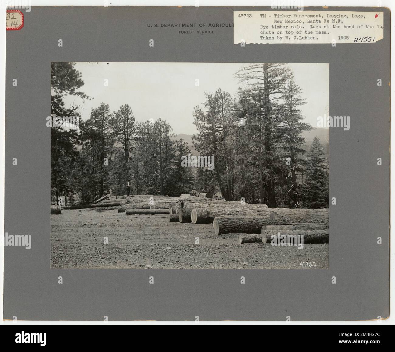 Logging: Scaling - New York. Photographs Relating to National Forests ...