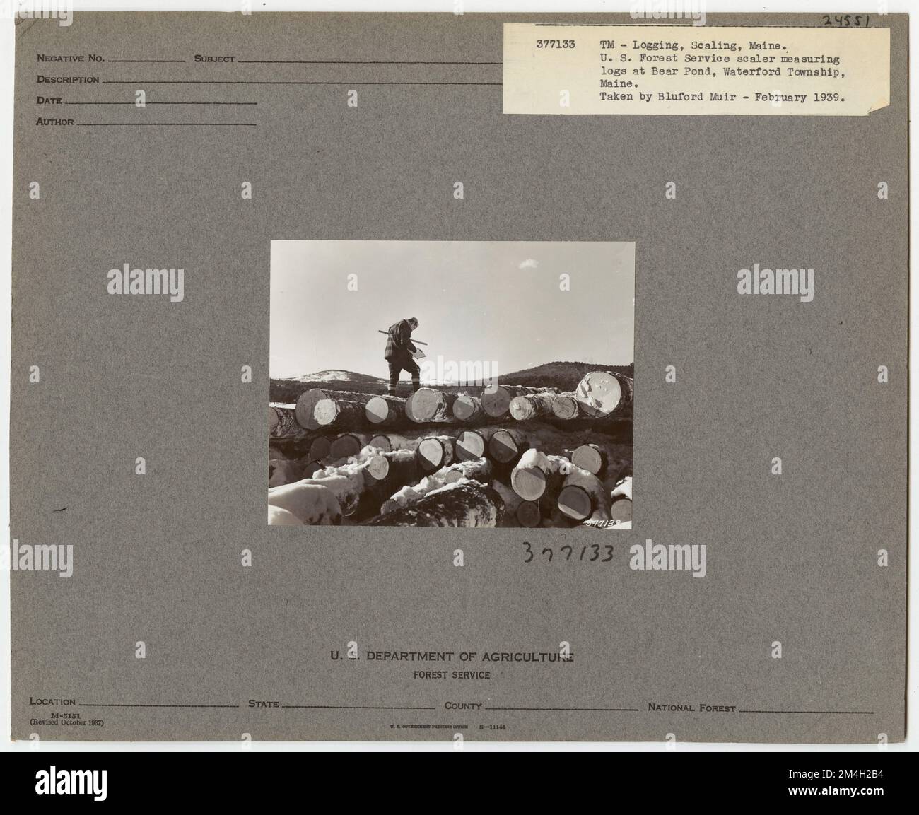 Logging: Scaling - Maine. Photographs Relating to National Forests ...