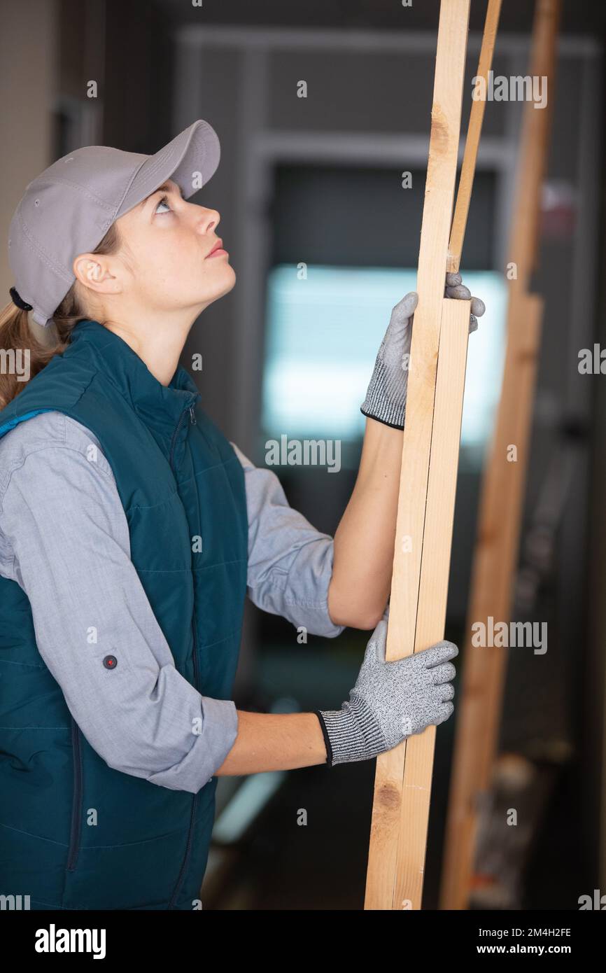 carpenter testing wood plank evenness and choosing best one Stock Photo ...