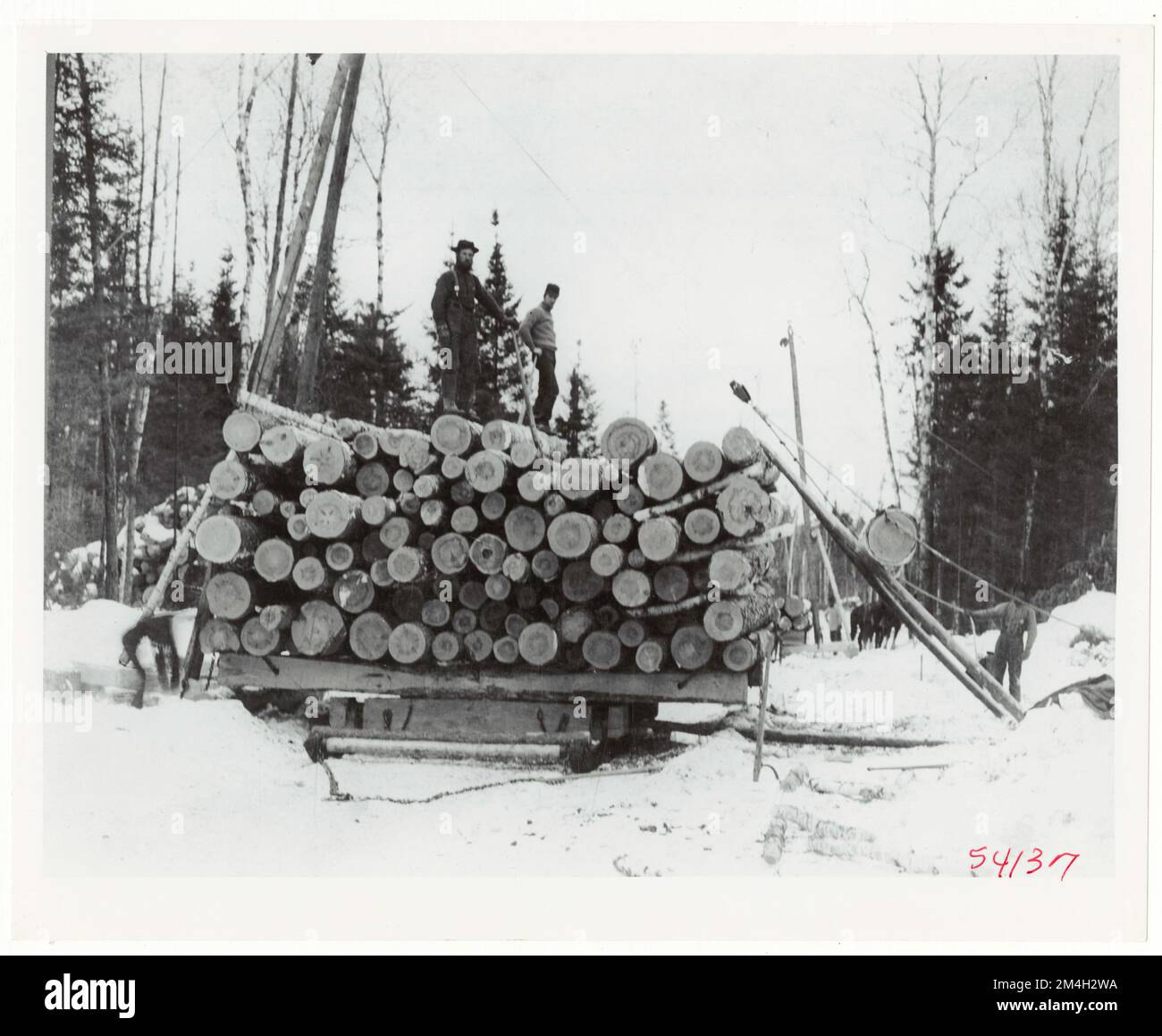Logging: Hauling - All States. Photographs Relating to National Forests ...