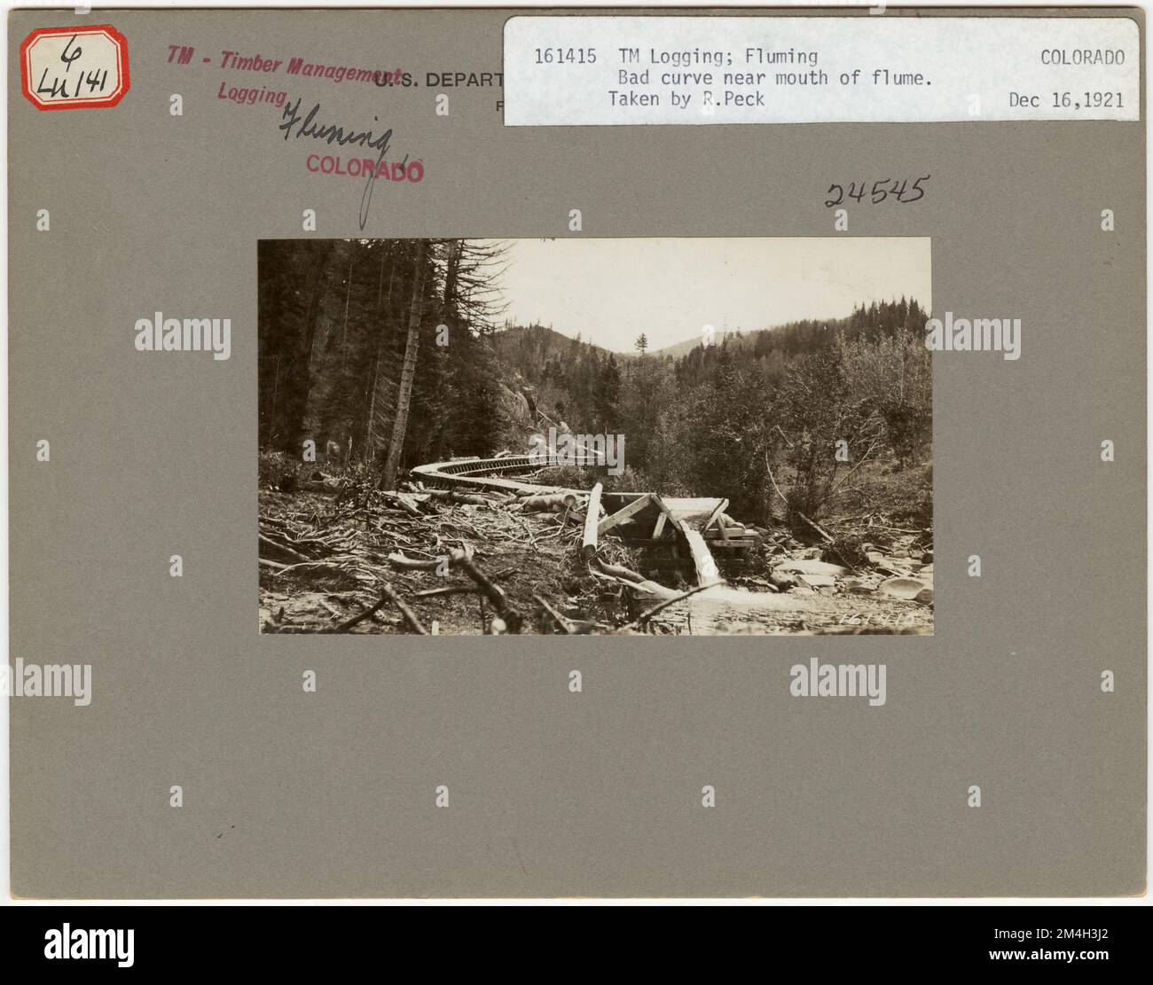 Logging: Fluming - All States. Photographs Relating to National Forests ...
