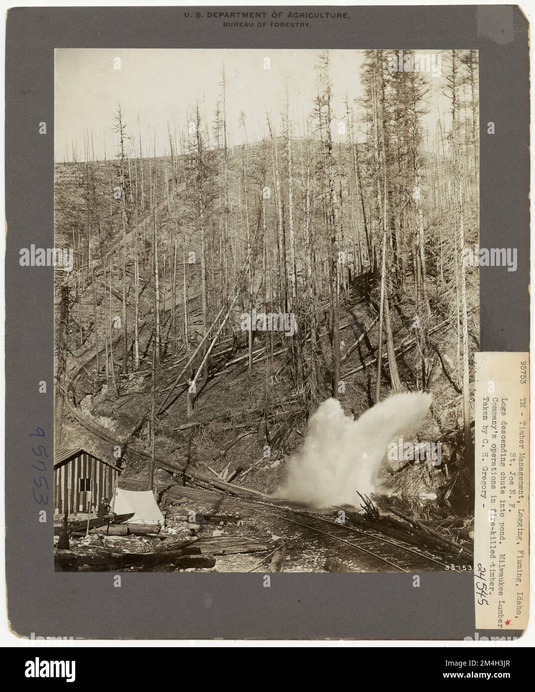 Logging: Fluming - All States. Photographs Relating to National Forests ...