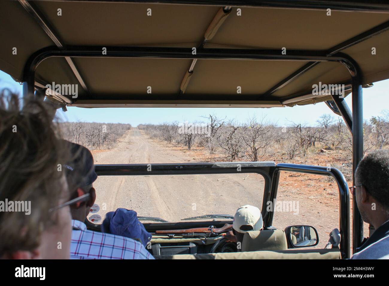 Tourists on a game drive in Africa Stock Photo - Alamy