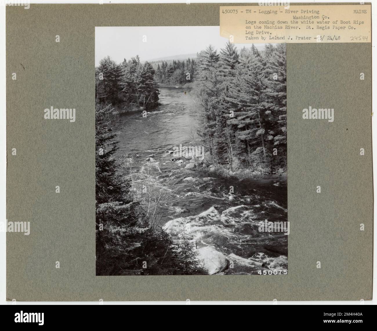 Logging: Transportation: Log Drive - Maine. Photographs Relating to ...