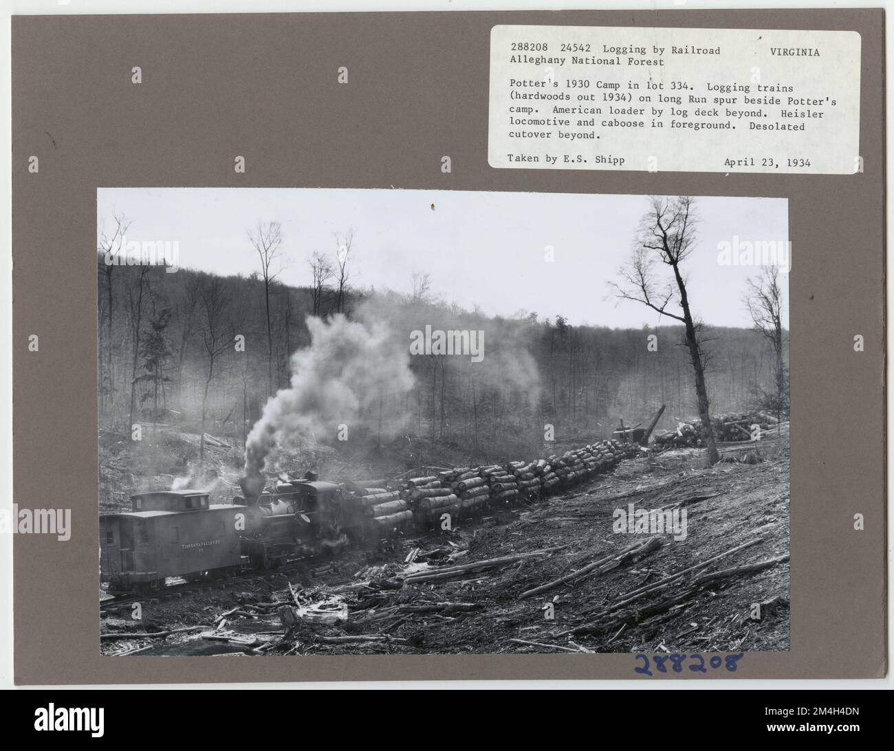 Logging: Transportation: Railroads - Texas. Photographs Relating to ...