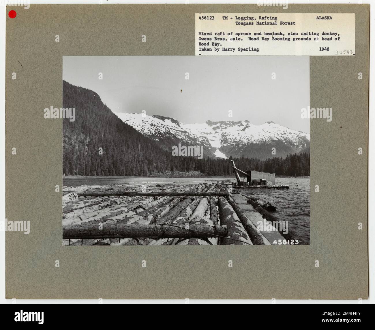 Logging: Transportation: Railroads - Alaska. Photographs Relating to ...