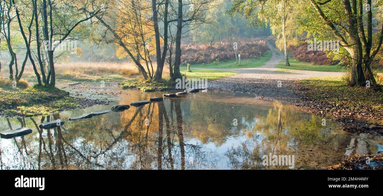 Autumn Stepping Stones across Sher Brook, Sherbrook Valley, Cannock ...