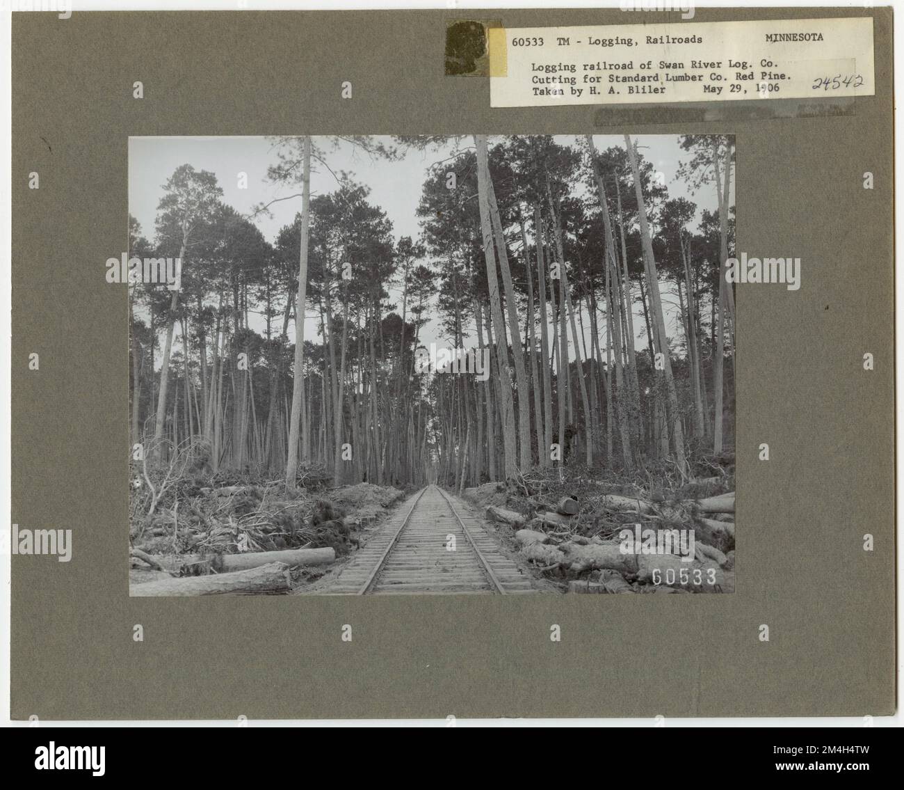 Logging: Transportation: Railroads - Minnesota. Photographs Relating to ...