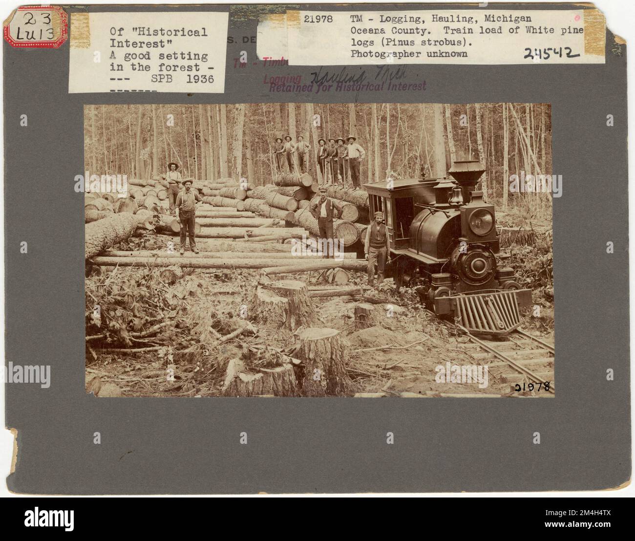 Logging: Transportation: Railroads - Michigan. Photographs Relating to ...