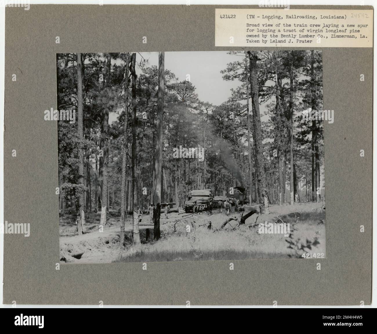 Logging railroads hi-res stock photography and images - Alamy