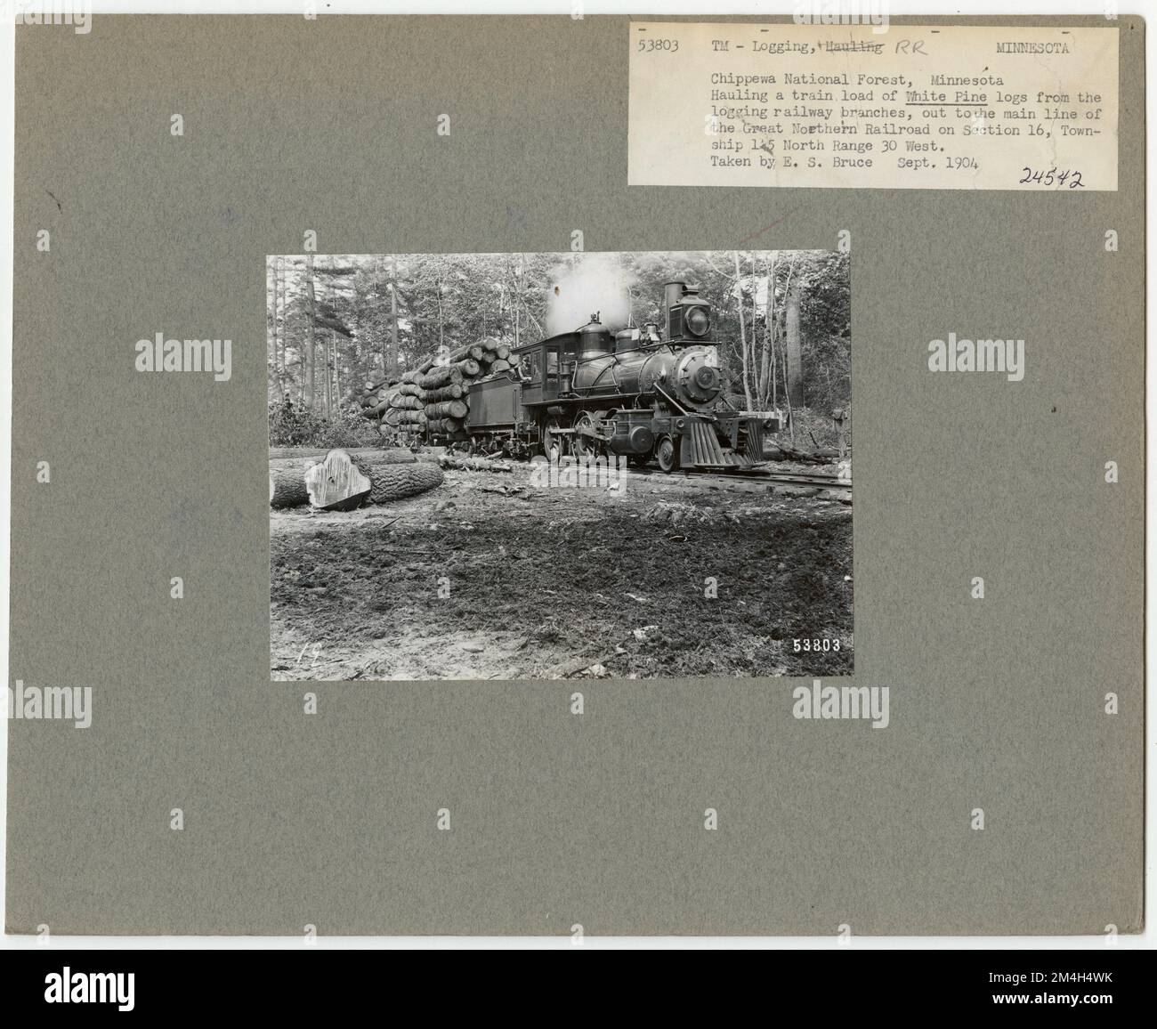 Logging: Transportation: Railroads - Minnesota. Photographs Relating to ...