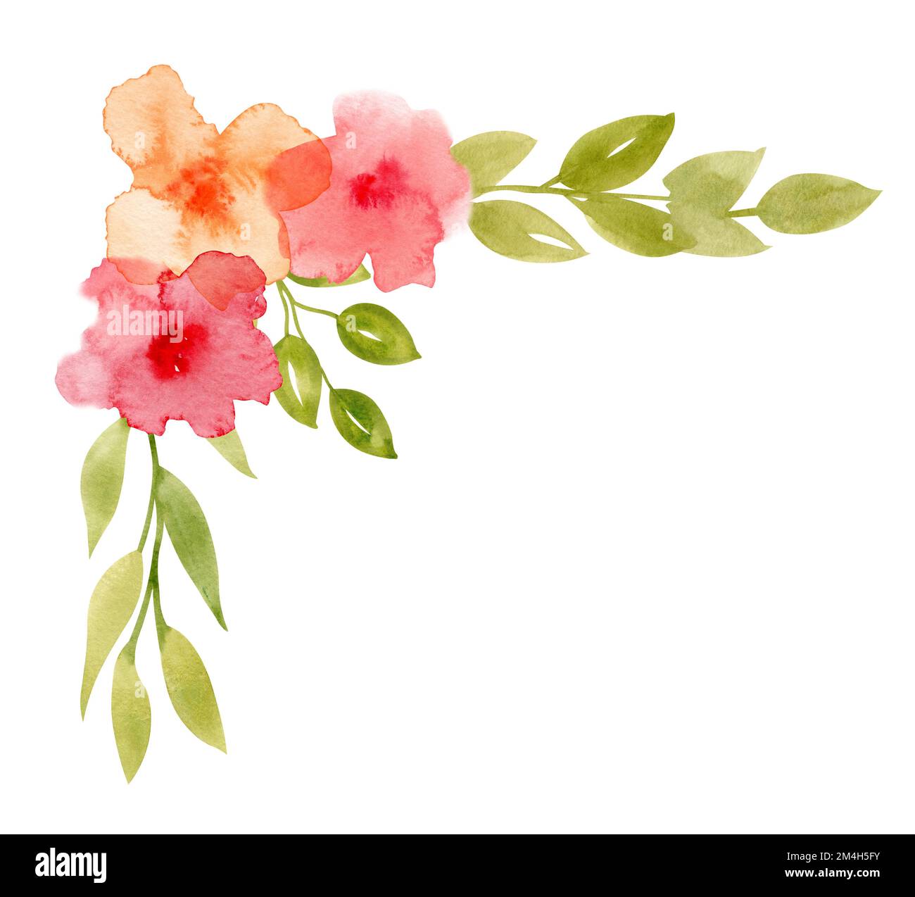 Watercolor abstract Flowers in orange and pink colors. Hand drawn ...