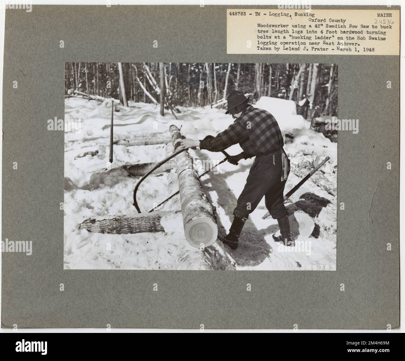 Logging: Bucking - Maine. Photographs Relating to National Forests ...