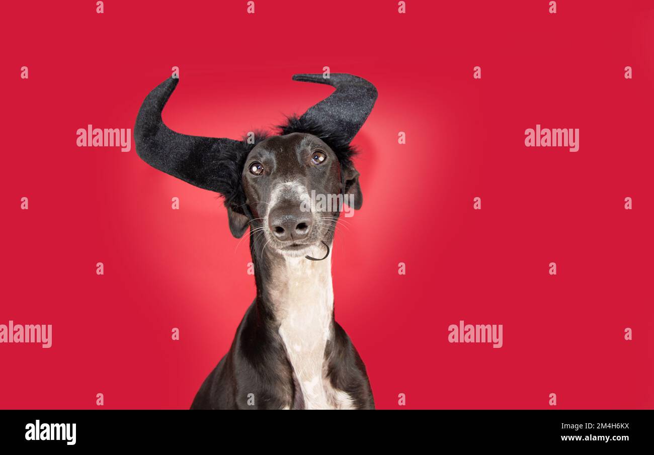 Diadem cap hi-res stock photography and images - Alamy