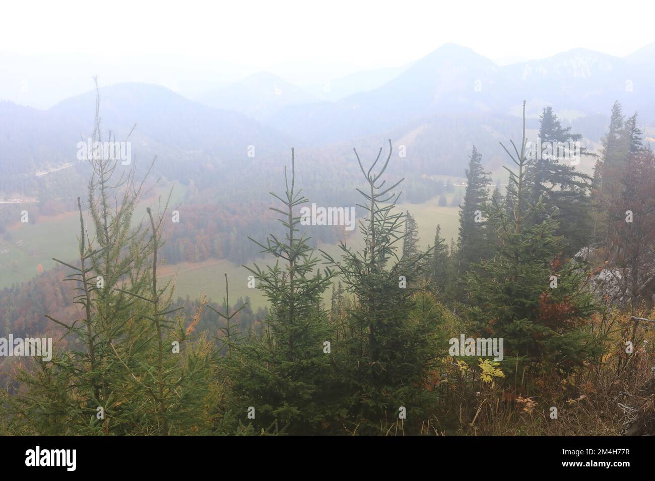 Around Vienna Alps Stock Photo - Alamy