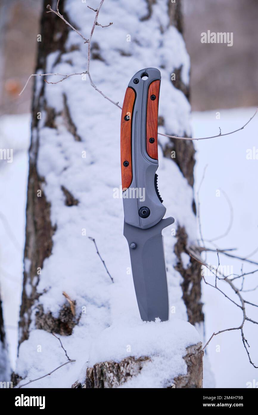 Survival knife stuck in tree stump in winter snow covered forest Stock ...