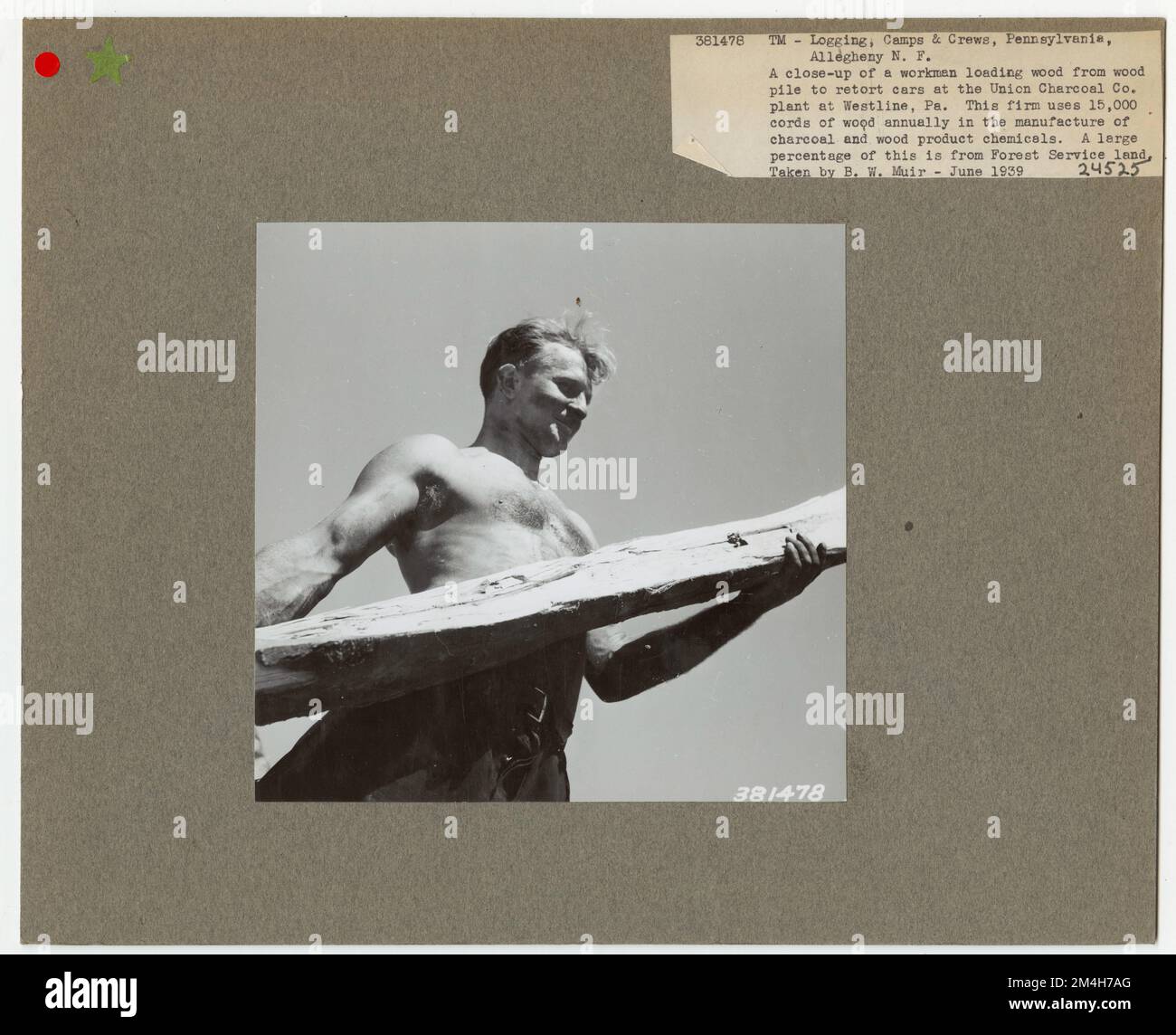 Logging Camps and Crews - Pennsylvania. Photographs Relating to ...