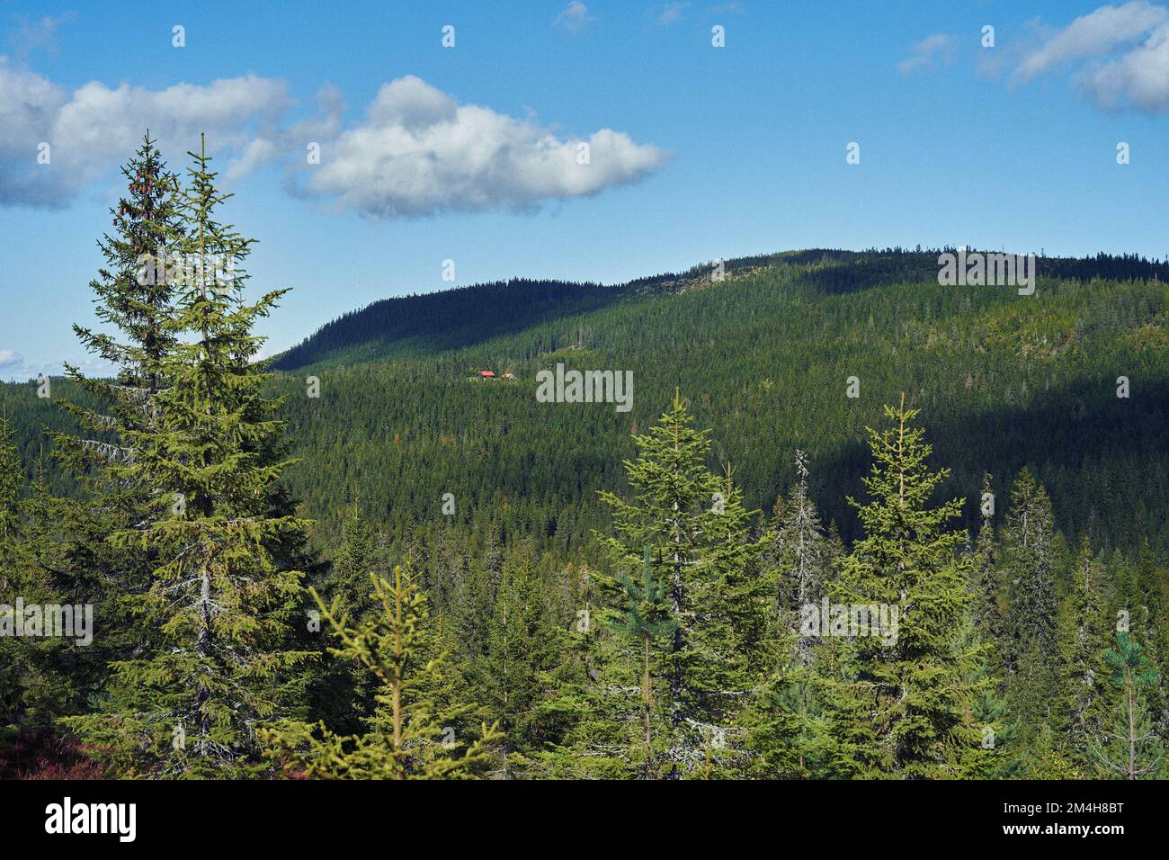 A beautiful shot of the natural scenery near the Totenaasen Hills in ...