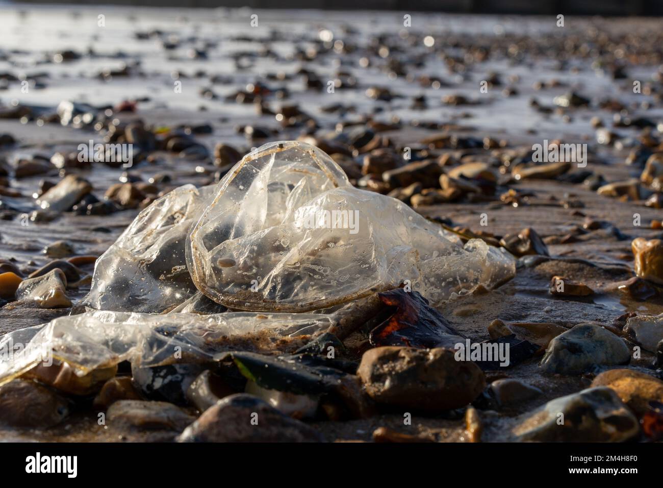 Plastic Pollution Washed Up On Beach Stock Photo - Alamy