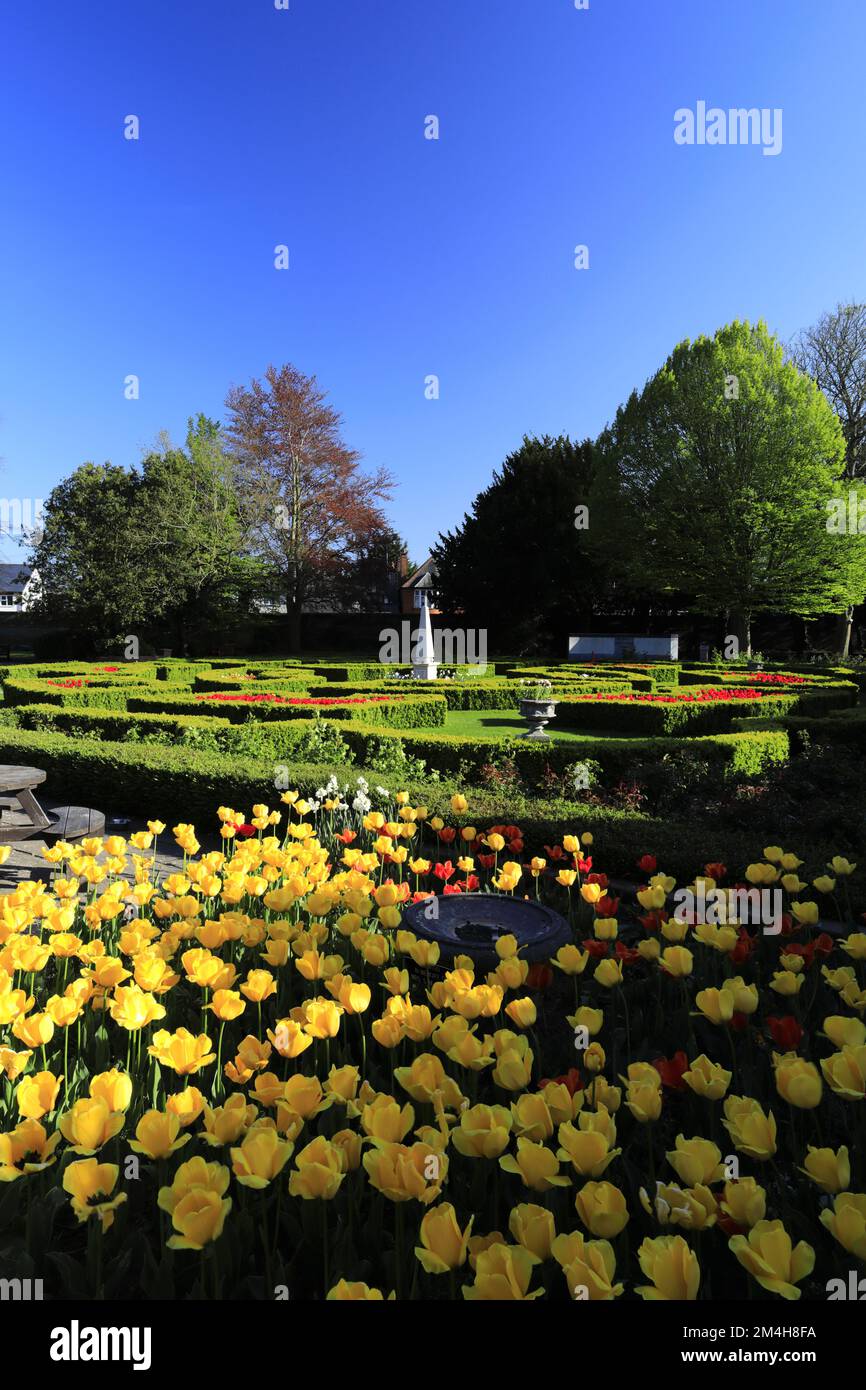 Ayscoughfee Hall and gardens; Spalding town; Lincolnshire; England; UK ...