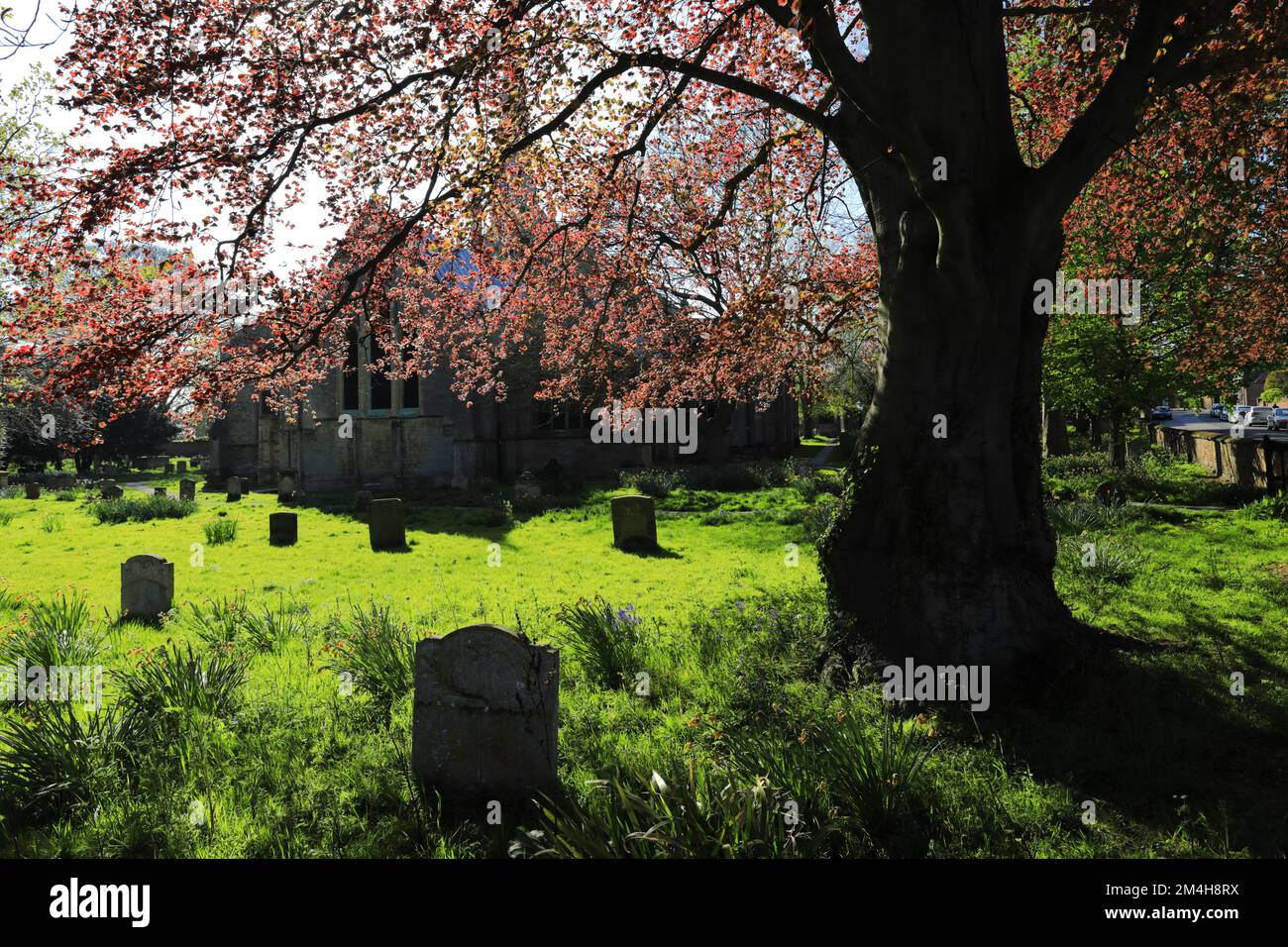 Summer view of the Parish Church of Saint Mary and Saint Nicolas ...
