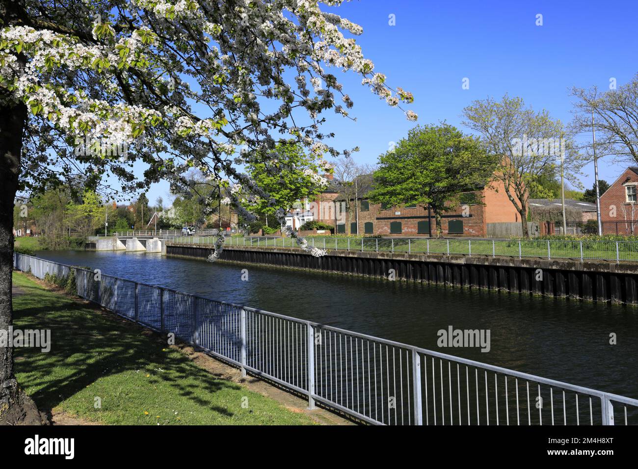 Summer view of the river Welland; Spalding town; Lincolnshire County ...
