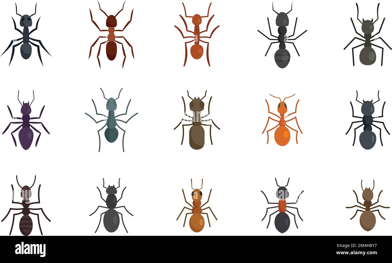 Ant icons set. Flat set of ant vector icons for web design isolated ...