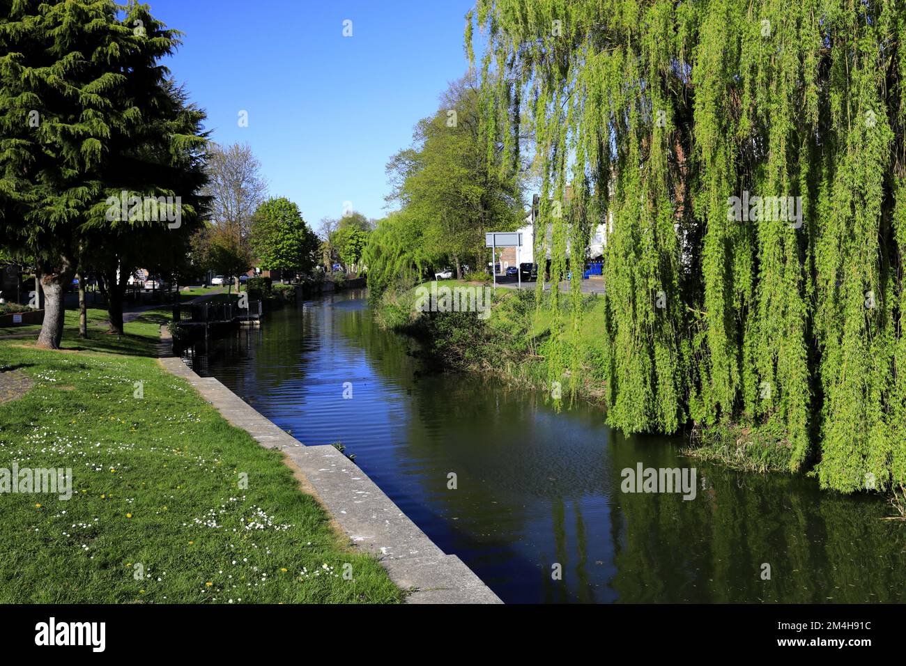 Summer view of the river Welland; Spalding town; Lincolnshire County ...