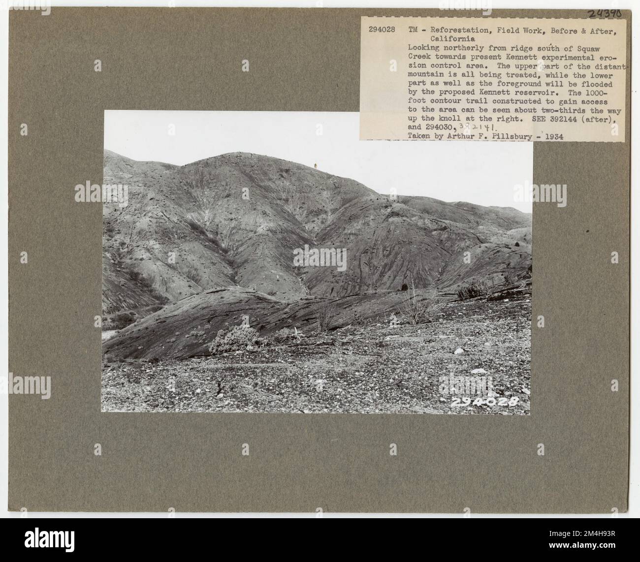 Reforestation Field Work Before And After All States Photographs Relating To National Forests