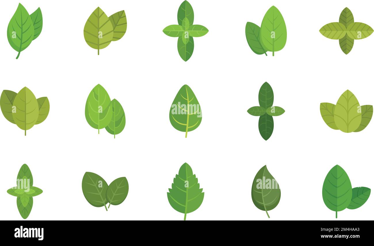 Basil icons set flat vector. Agriculture aroma leaf. Basil healthcare ...