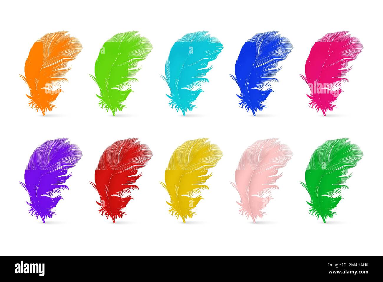 Vector 3d Realistic Multicolored Fluffy Feather Set Isolated on White ...