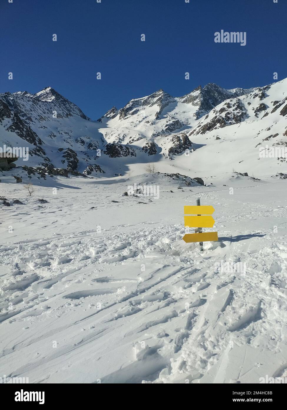 Blank directional signs Stock Photo - Alamy