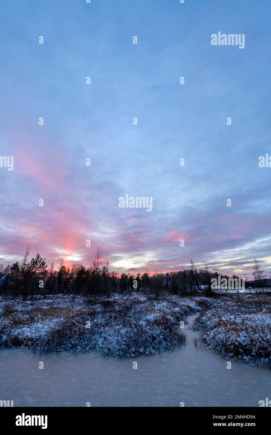 Sunset skies, leather leaf bog at freeze-up, Greater Sudbury, Ontario ...