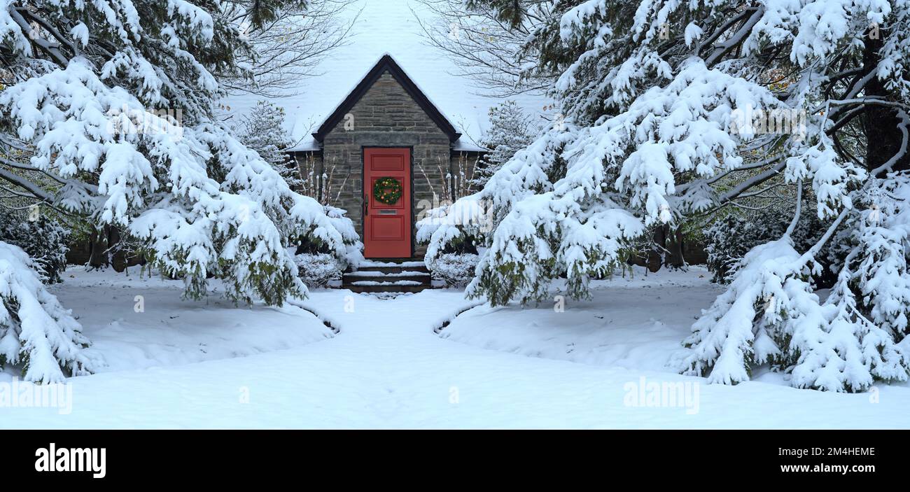 Large pine tree covered in snow in front yard of old house with gable ...