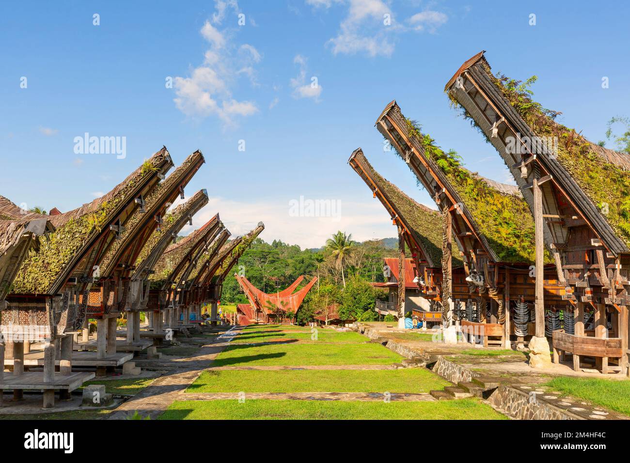 Tongkonan is a traditional house of the Toraja tribe which is usually ...