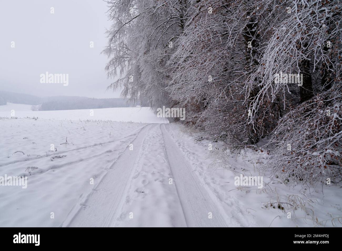 a wintery landscape of the scenic frozen Bavarian countryside in ...